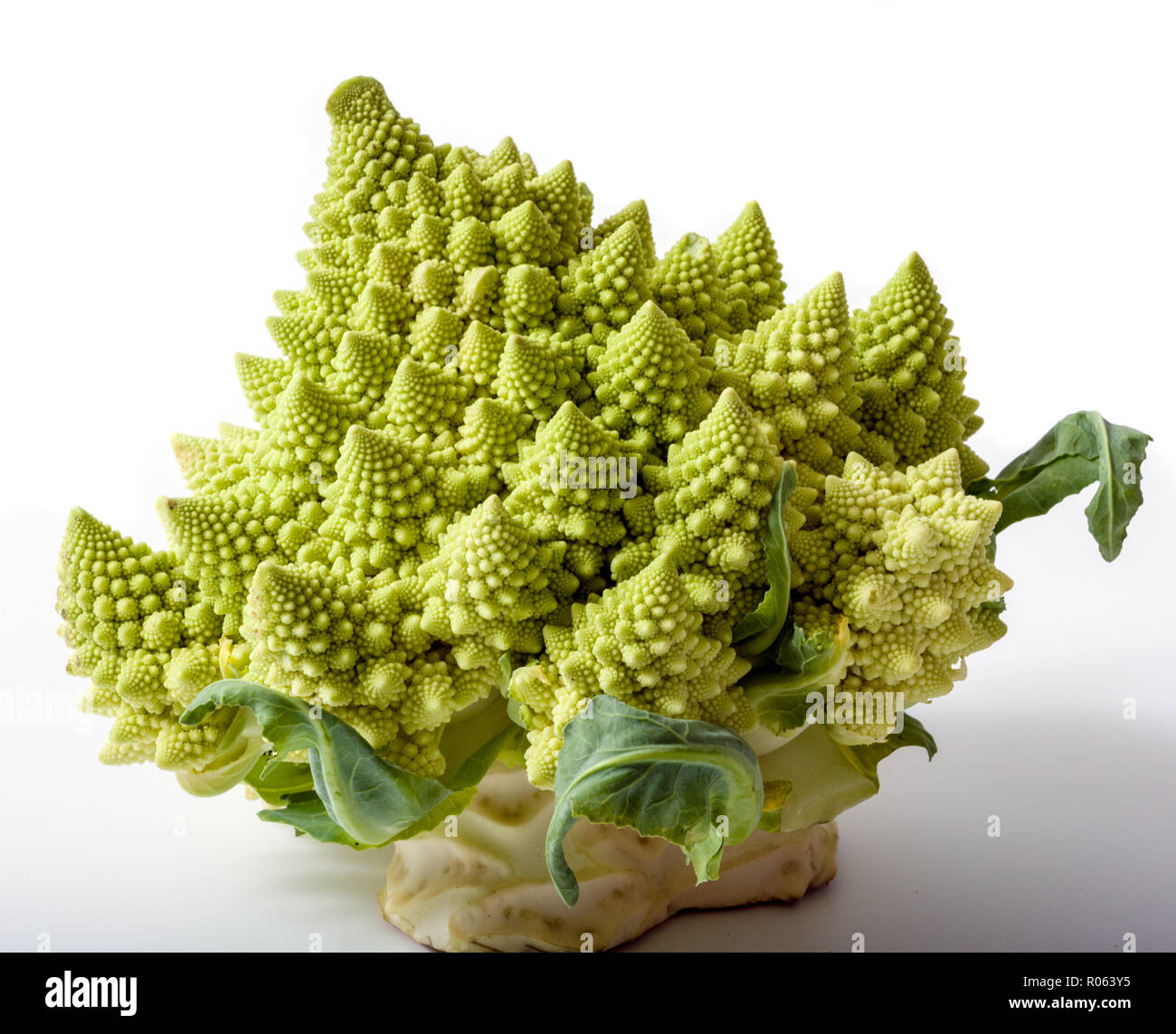 Roman cauliflower, Romanesco broccoli (Brassica oleracea Stock Photo ...