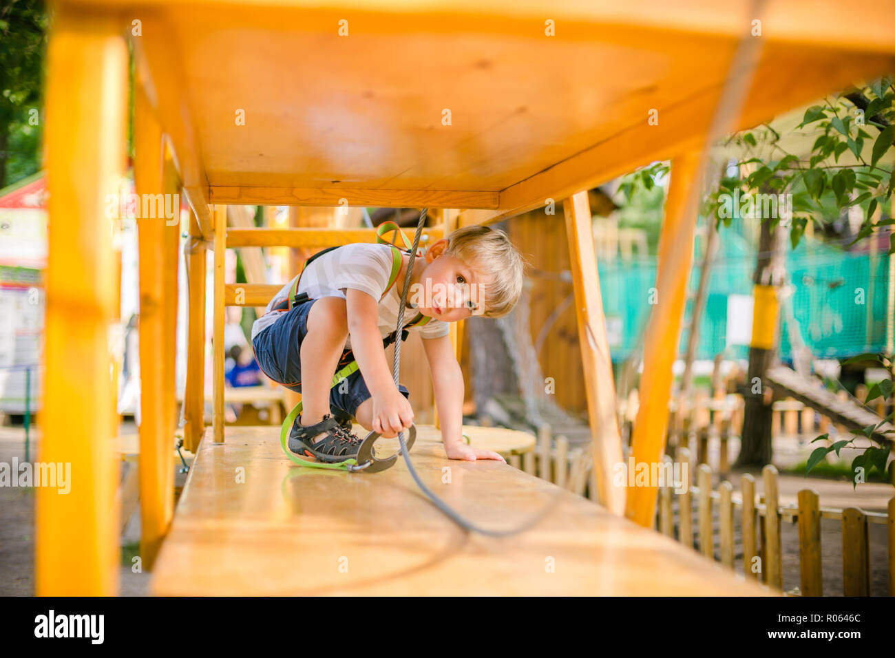 Boy climbing pass obstacles in rope park, fun activity Stock Photo - Alamy