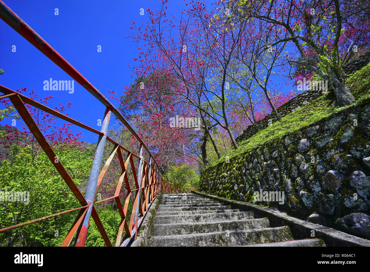Overlooking of the stone ladder Stock Photo - Alamy