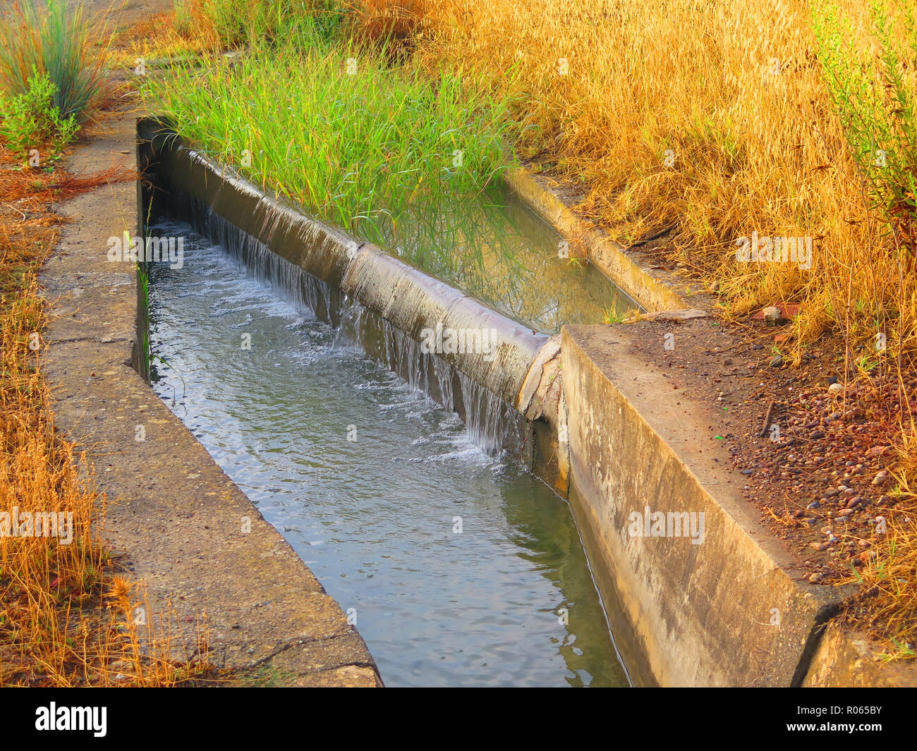 Road level irrigation canal in Andalusian countryside Stock Photo - Alamy