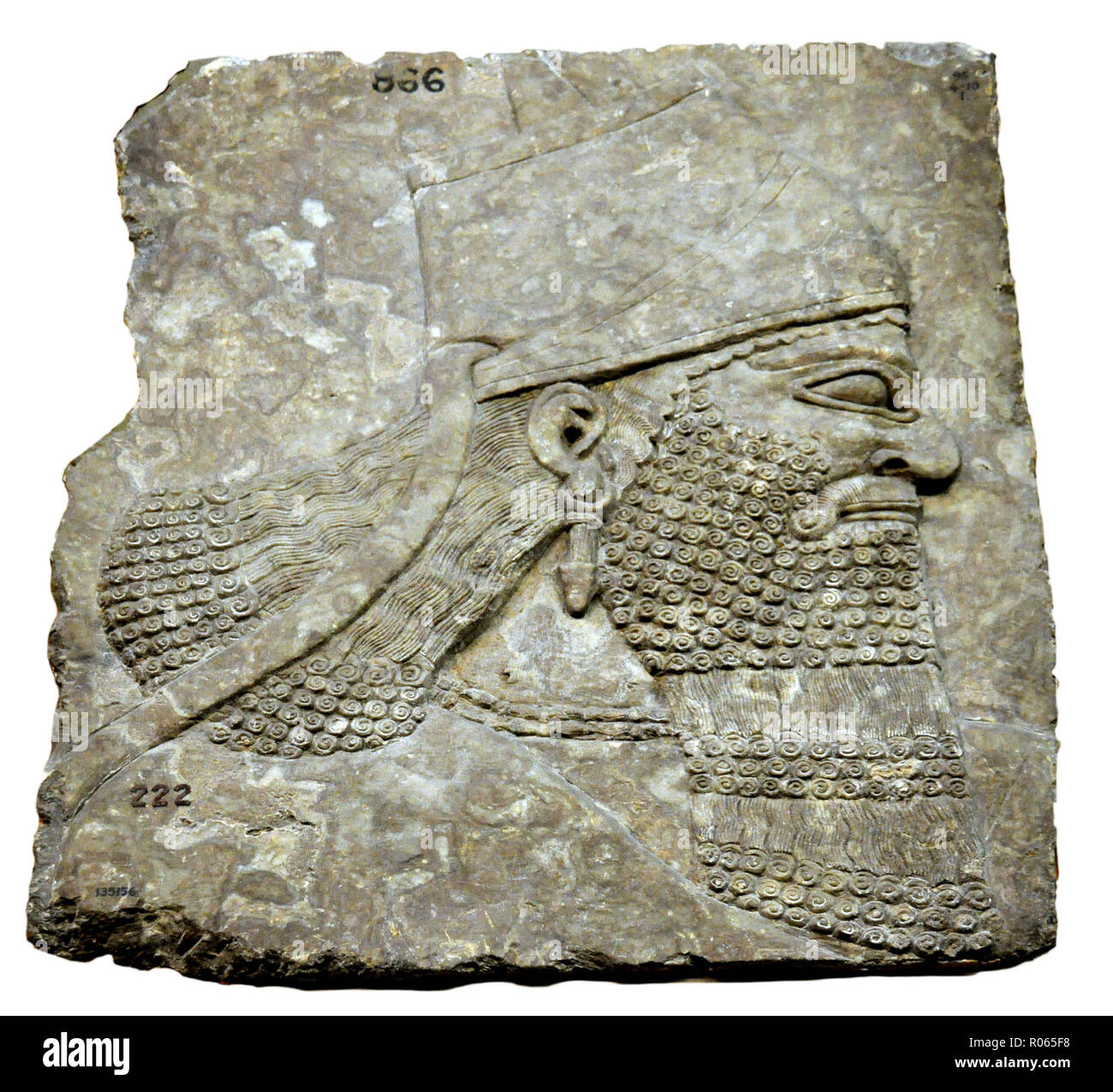 6375. Relief depicting the Assyrian King Ashurnasirpal II. Dating c ...