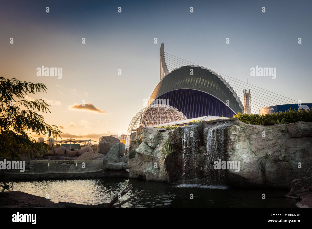 visiting the beautiful city of sciences in Valencia Stock Photo - Alamy