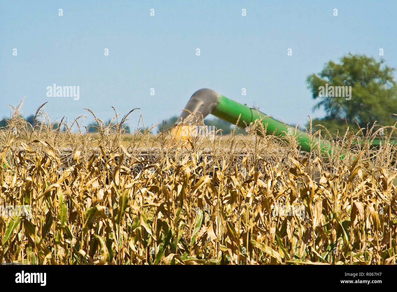Combine harvester work loading hi-res stock photography and images - Alamy