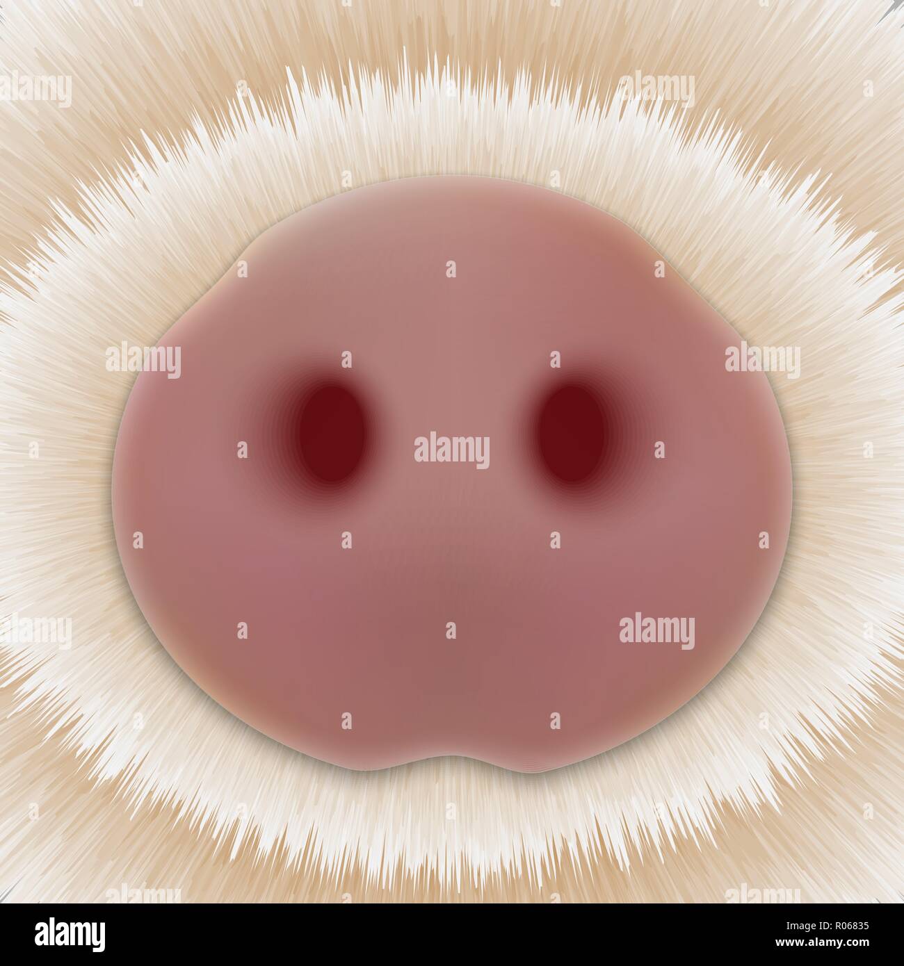 Cute nose of pig. head of little Piggy. Vector illustration Stock ...