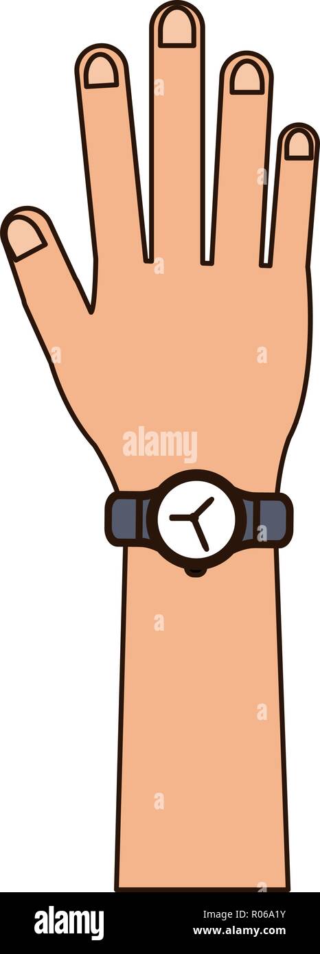Wristwatch and hand isolated vector illustration graphic design Stock ...