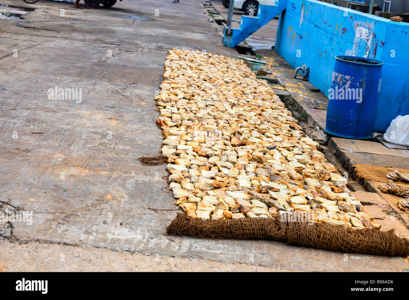 Fish caught and laid on ground at fishing pier Stock Photo - Alamy