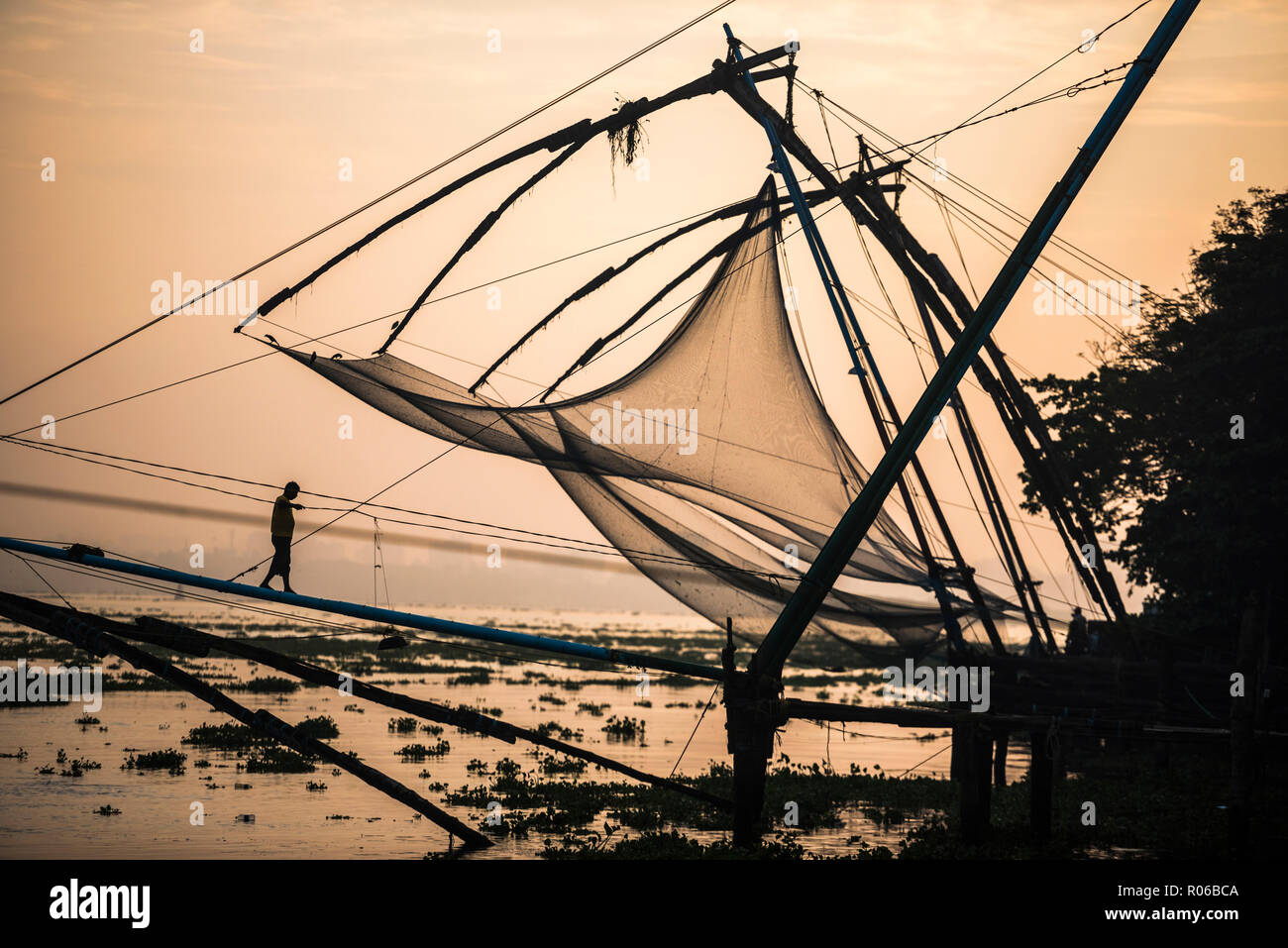 Traditional Chinese fishing nets at sunrise, Fort Kochi (Cochin ...