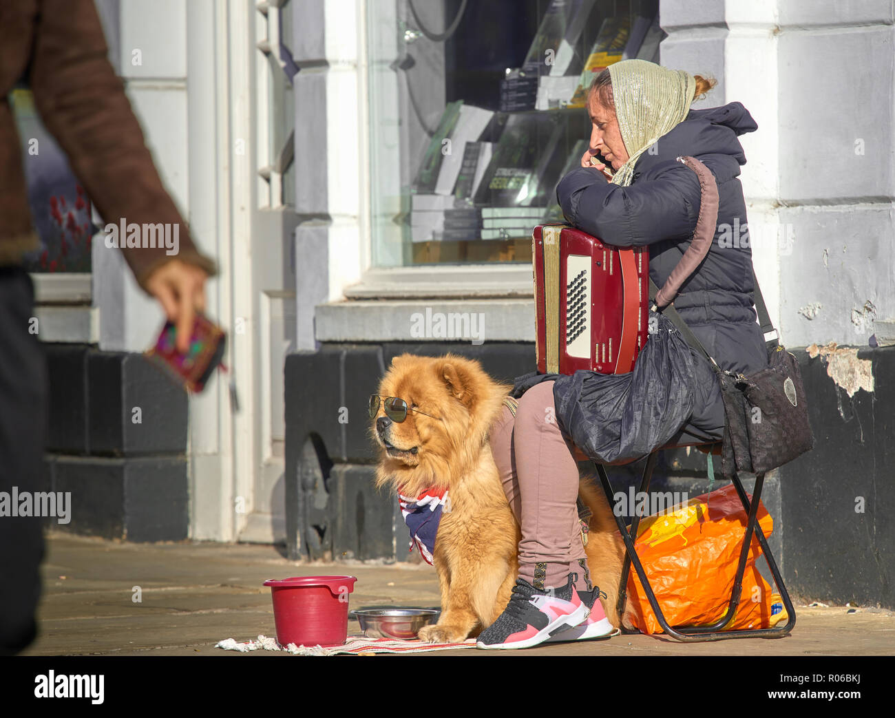Female busker plus accordion and dog (with sun glasses) outside a ...