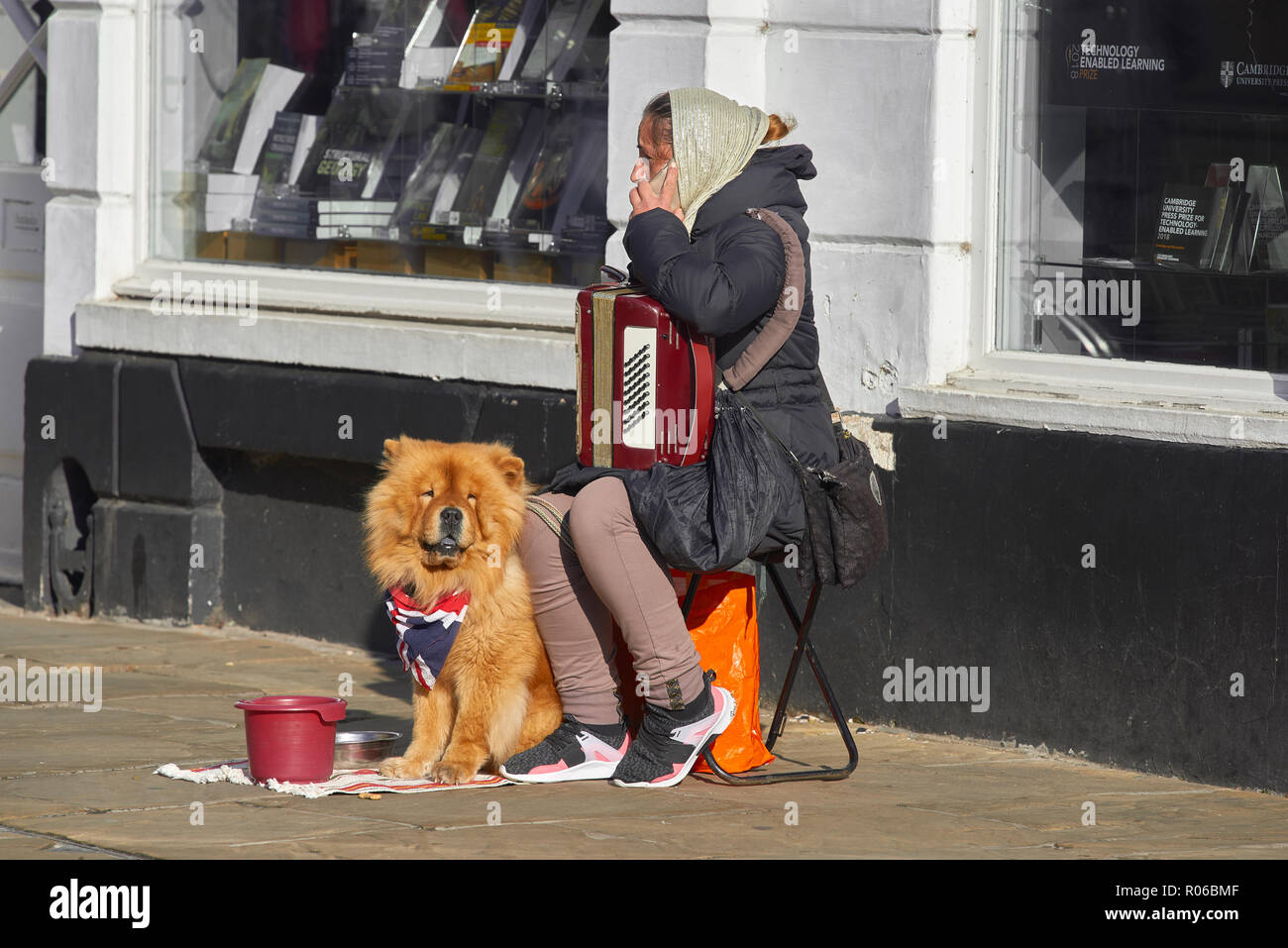 Busker with dog hi-res stock photography and images - Alamy