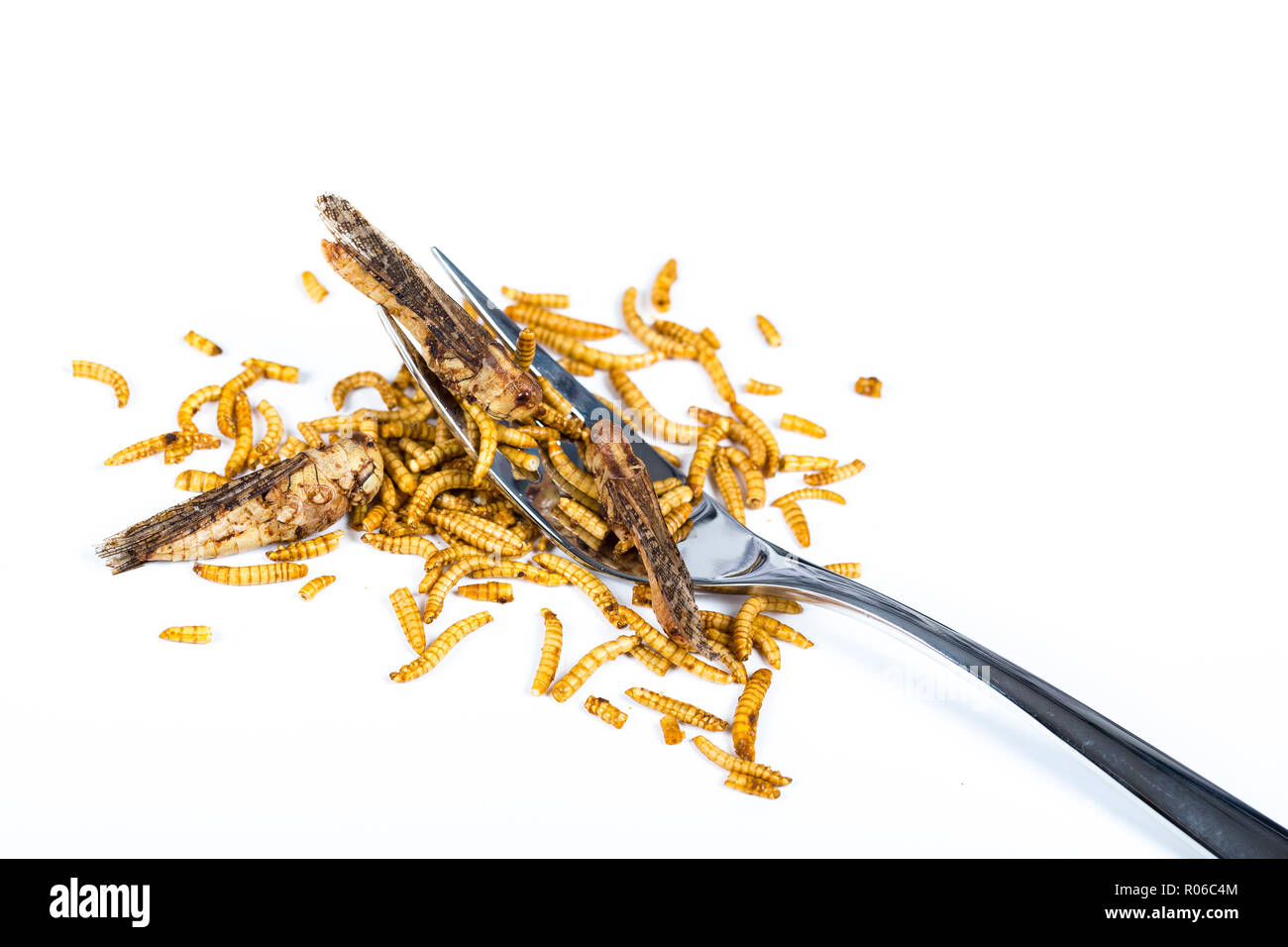 Chinese eating worms hi-res stock photography and images - Alamy