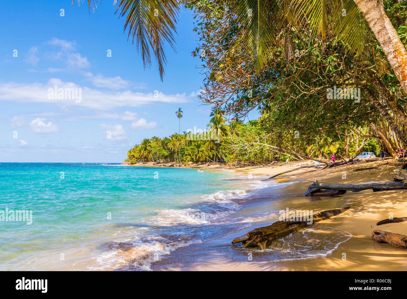 Limon costa rica hi-res stock photography and images - Alamy