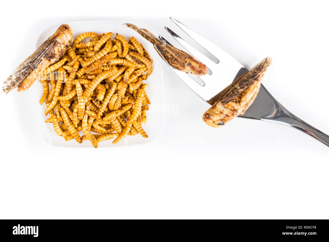 Close-up edible fried worms molitors insects meal with fork suitable as ...