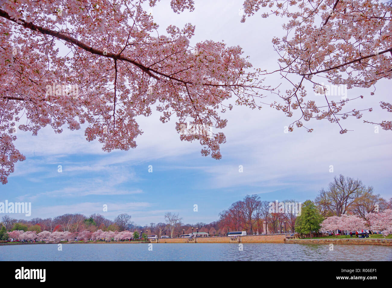 Washington scenery hi-res stock photography and images - Alamy