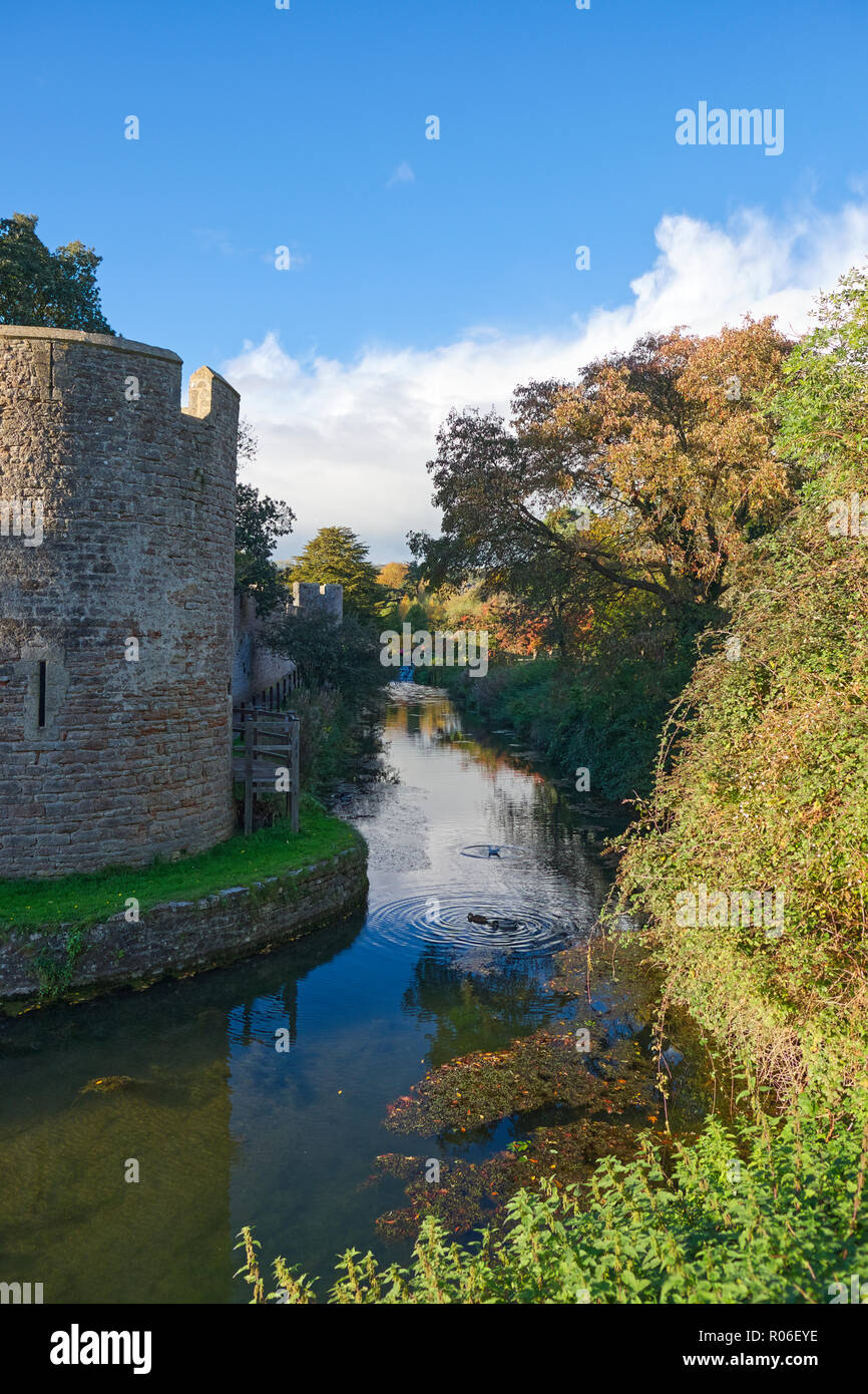 Wells somerset uk moat hi-res stock photography and images - Alamy