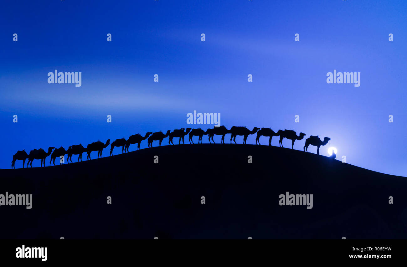 Camel train silhouette sunset desert hi-res stock photography and ...