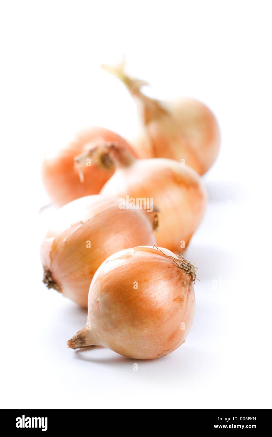 Five herbs Cut Out Stock Images & Pictures - Alamy