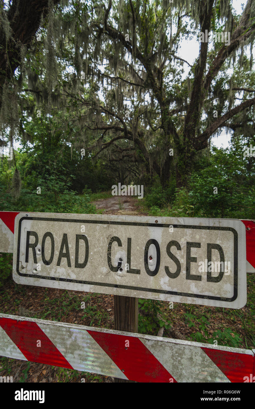 Road Closed Sign with Trees Stock Photo - Alamy