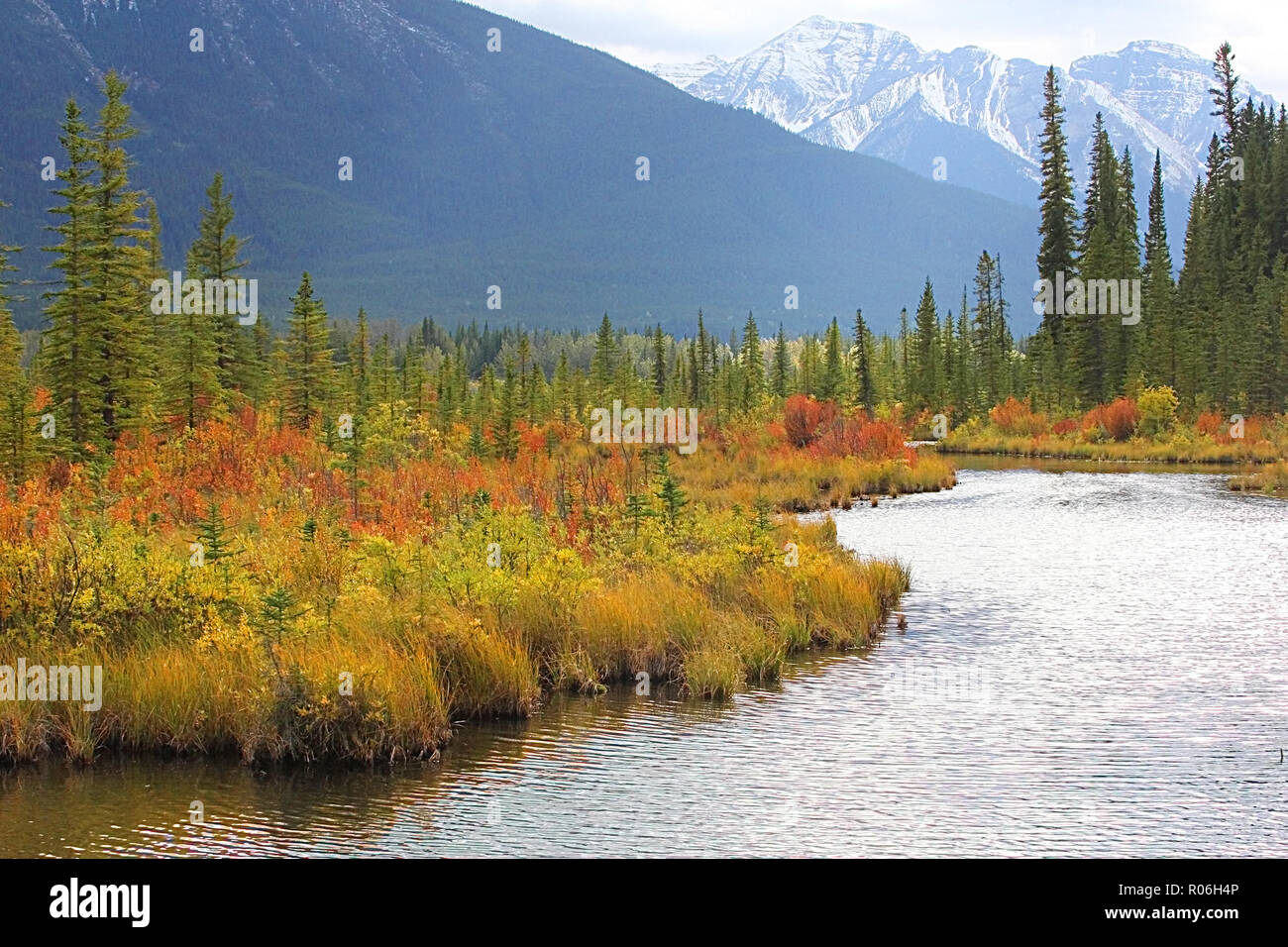 Autumn Colours at Vermillion Lakes, Banff National Park, Alberta, and ...