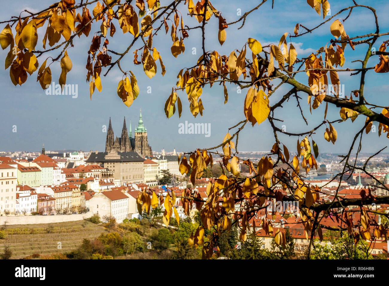 Autumn Prague Castle Hradcany view Czech Republic autumn Leaves ...