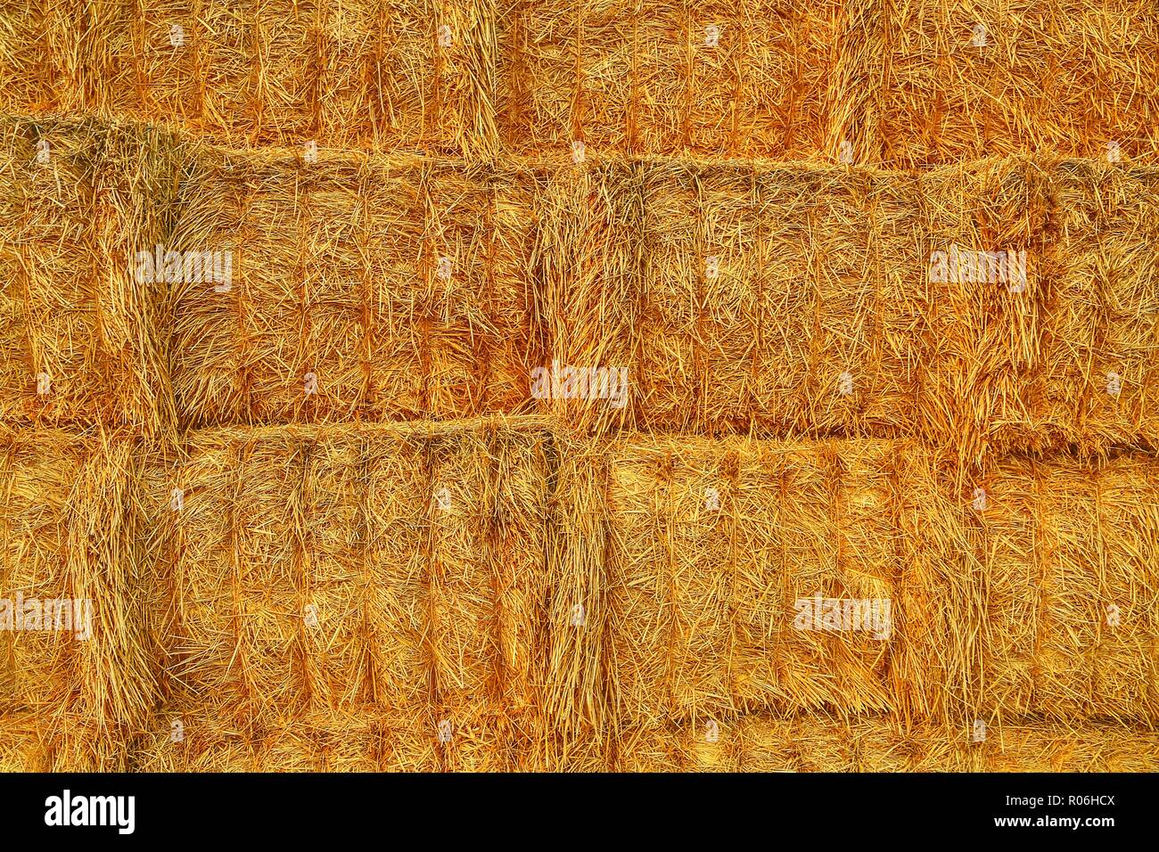 A stack of straw bales background. Agricultural concept Stock Photo - Alamy