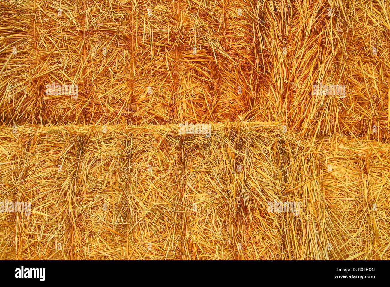 A stack of straw bales background. Close-up. Agricultural concept Stock ...