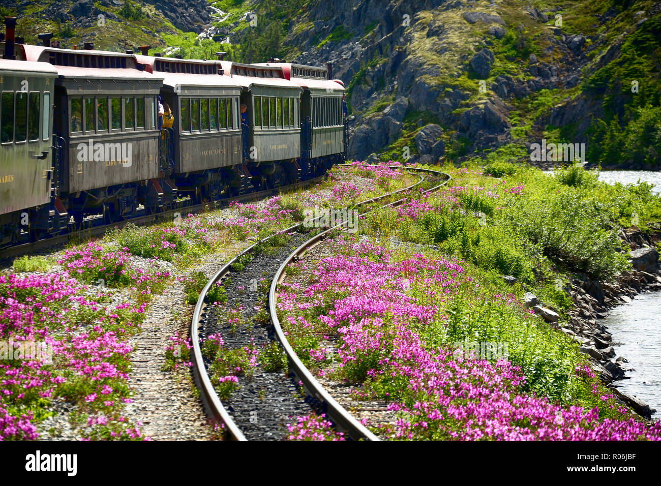 The train in Alaska Stock Photo - Alamy