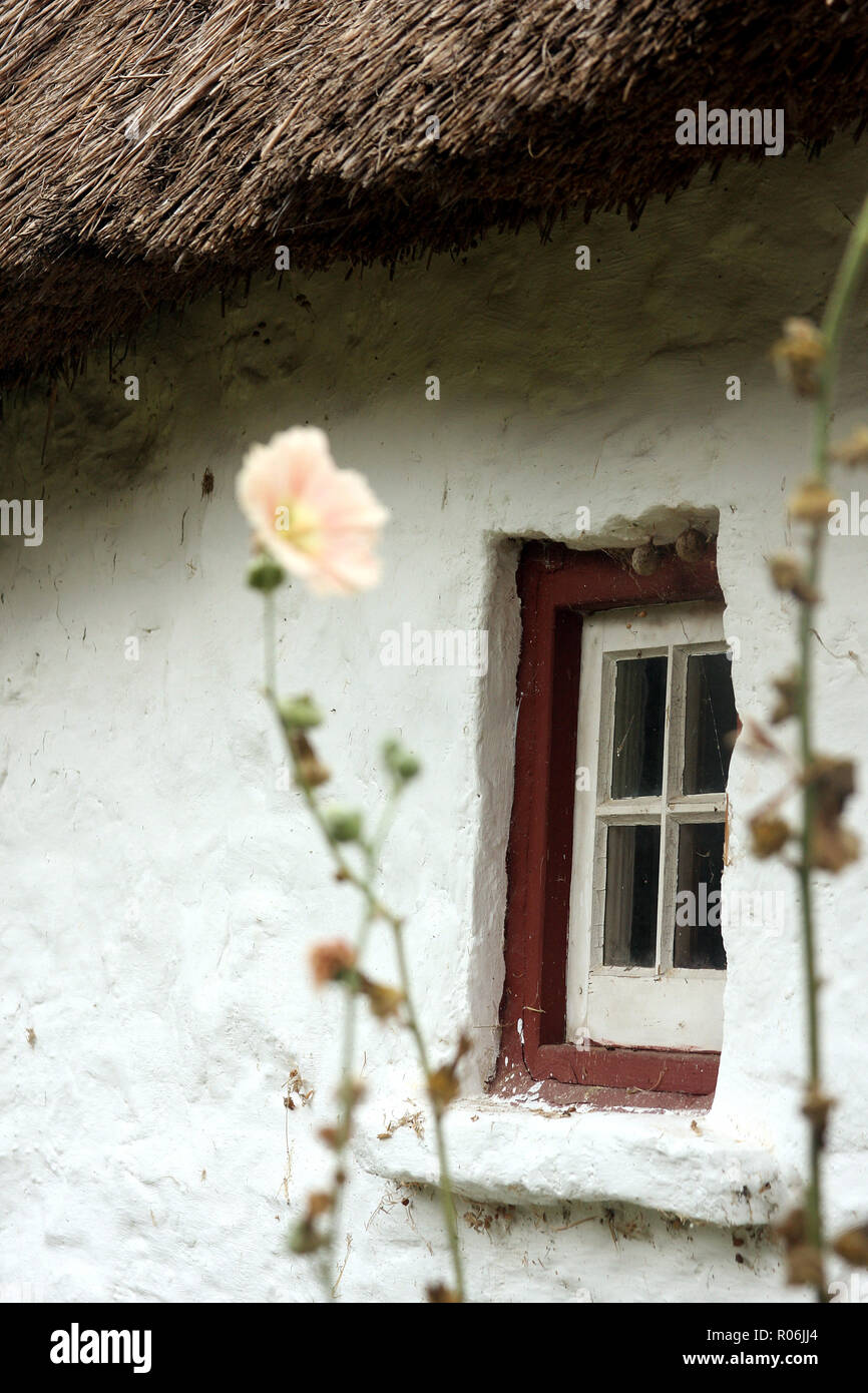 Facade of old 18th century Irish farmhouse with thatched roof at ...