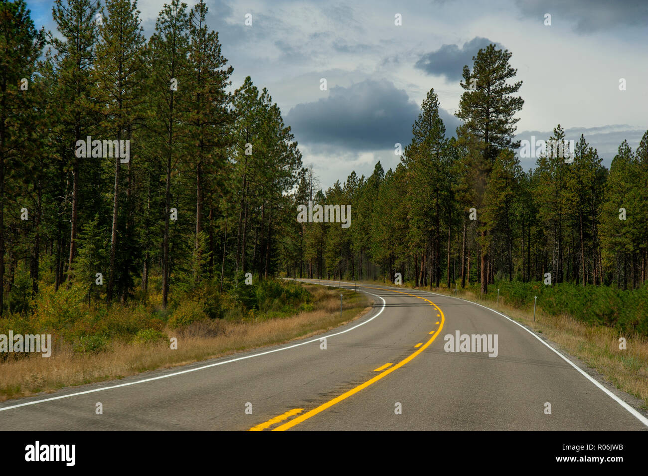 Deserted road through forest hi-res stock photography and images - Alamy