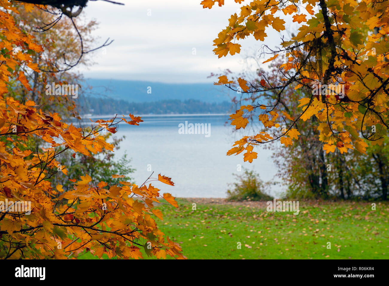 View of Sproat Lake provincial park during the fall season, Vancouver ...