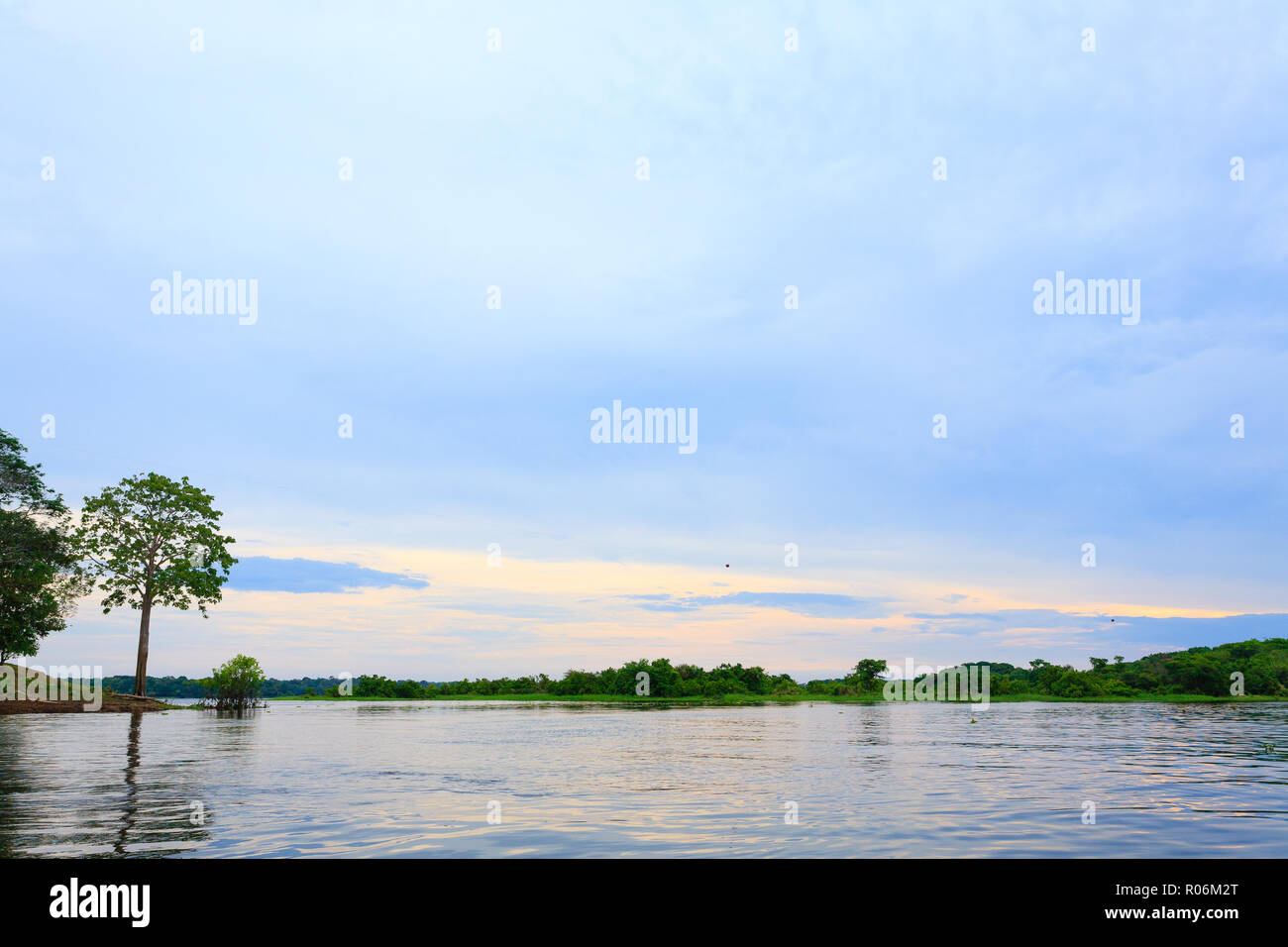 Panorama from Amazon rainforest, Brazilian wetland region. Navigable ...