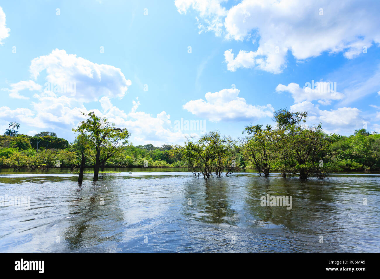 Panorama from Amazon rainforest, Brazilian wetland region. Navigable ...