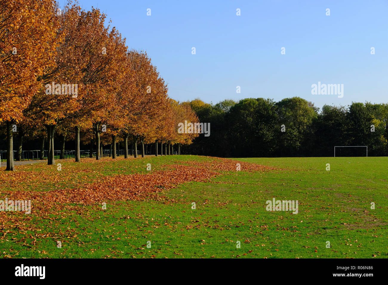 Becton hi-res stock photography and images - Alamy