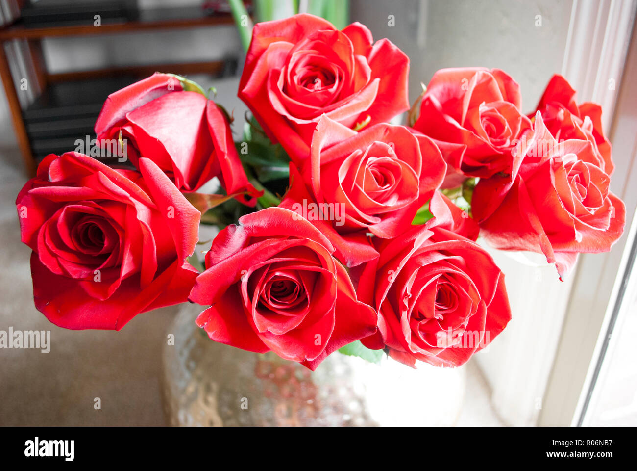 Bouquet of red rose. Dozen of red roses close up Stock Photo - Alamy