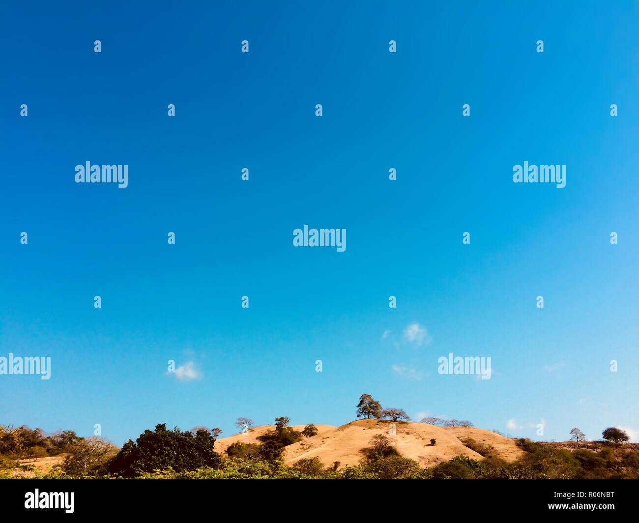 clear blue sky background above sand hills with trees on sunny day ...