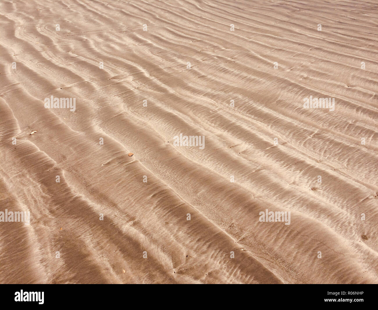 beach sand pattern closeup, fine rippling sand background Stock Photo ...