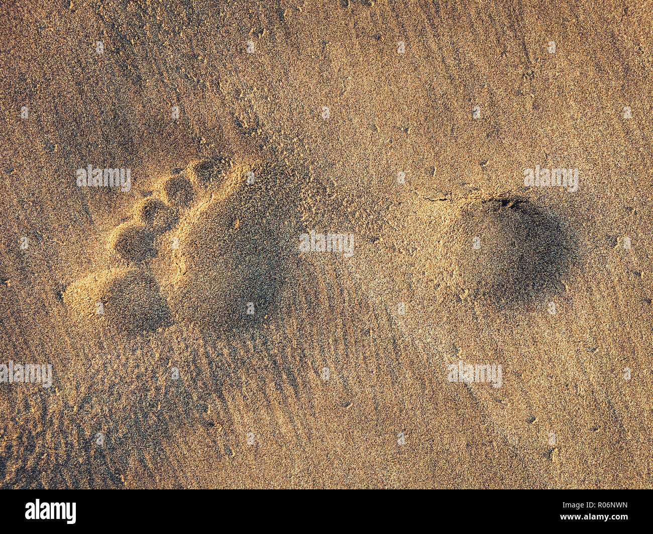 Barefoot path hi-res stock photography and images - Alamy