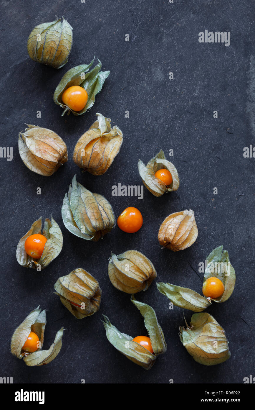 Arrangement of physalis fruit, Cape Gooseberries, on natural slate ...