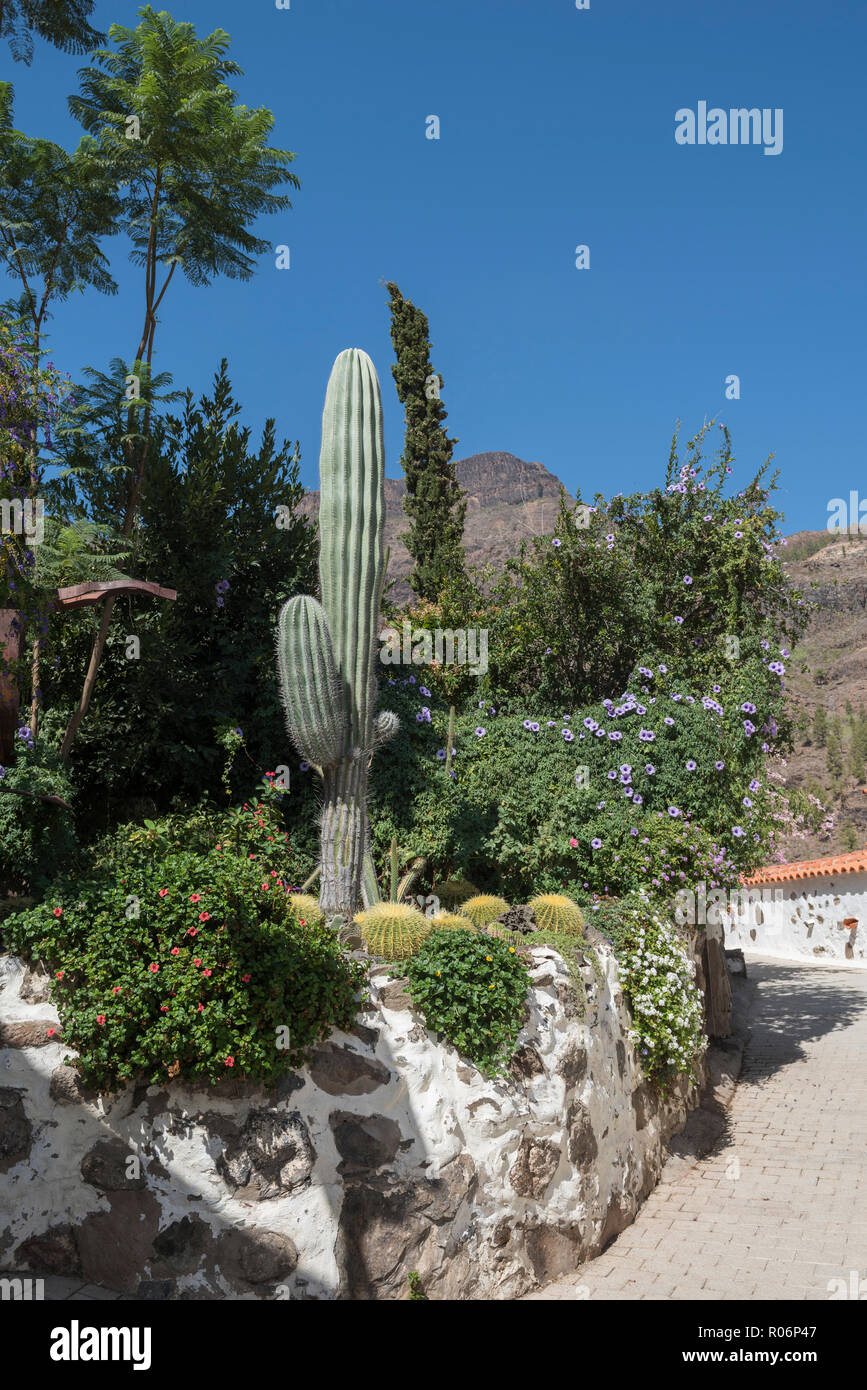 Fataga valley hi-res stock photography and images - Alamy