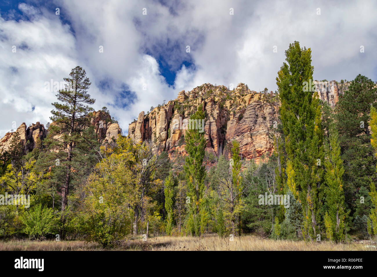 Rhyolite Rock Formation High Resolution Stock Photography and Images ...