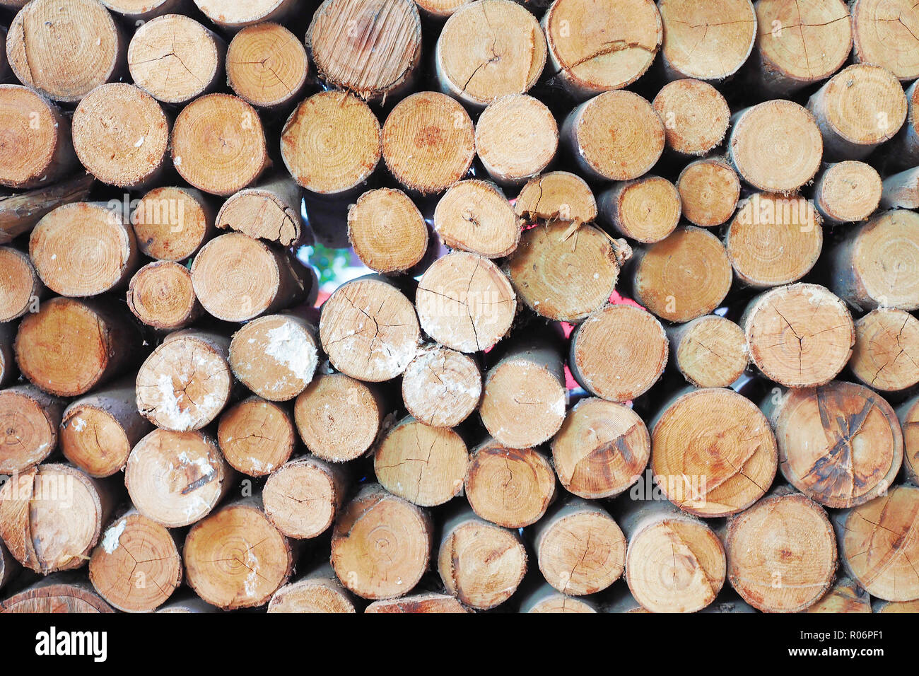 Old wood stump background Stock Photo - Alamy