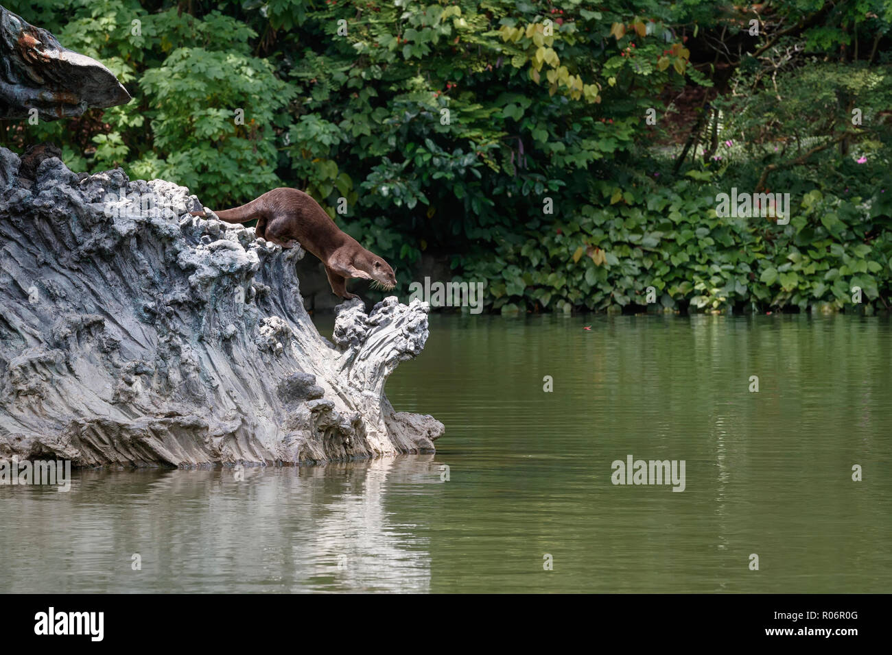 Fish spotting hi-res stock photography and images - Alamy