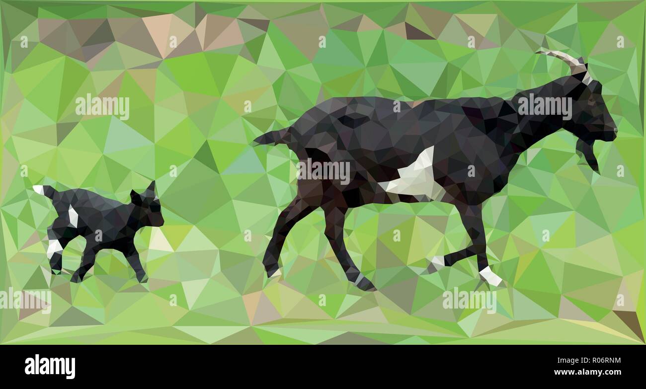 Same but different animals hi-res stock photography and images - Alamy