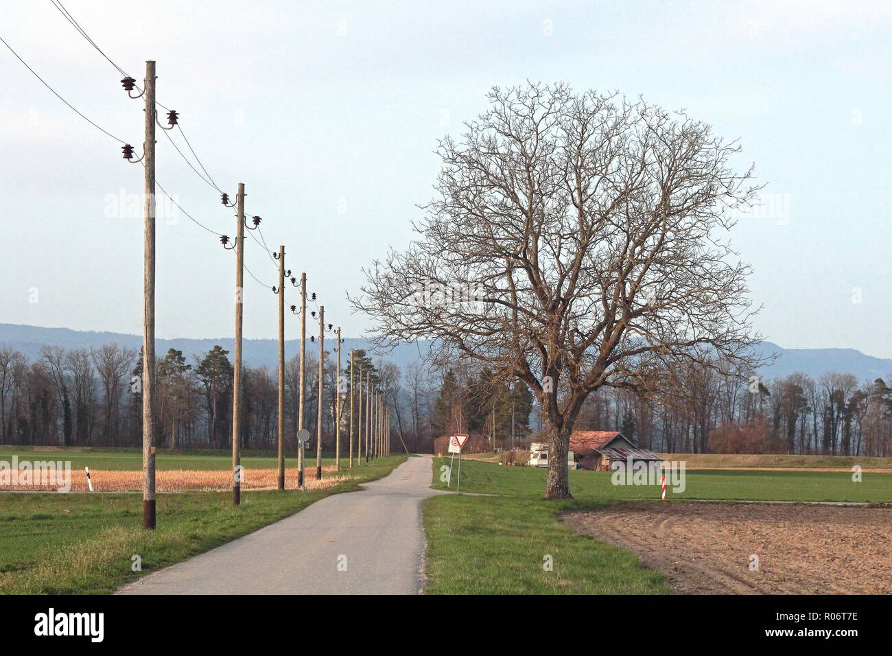 agricultural landscape with field and tree Stock Photo - Alamy