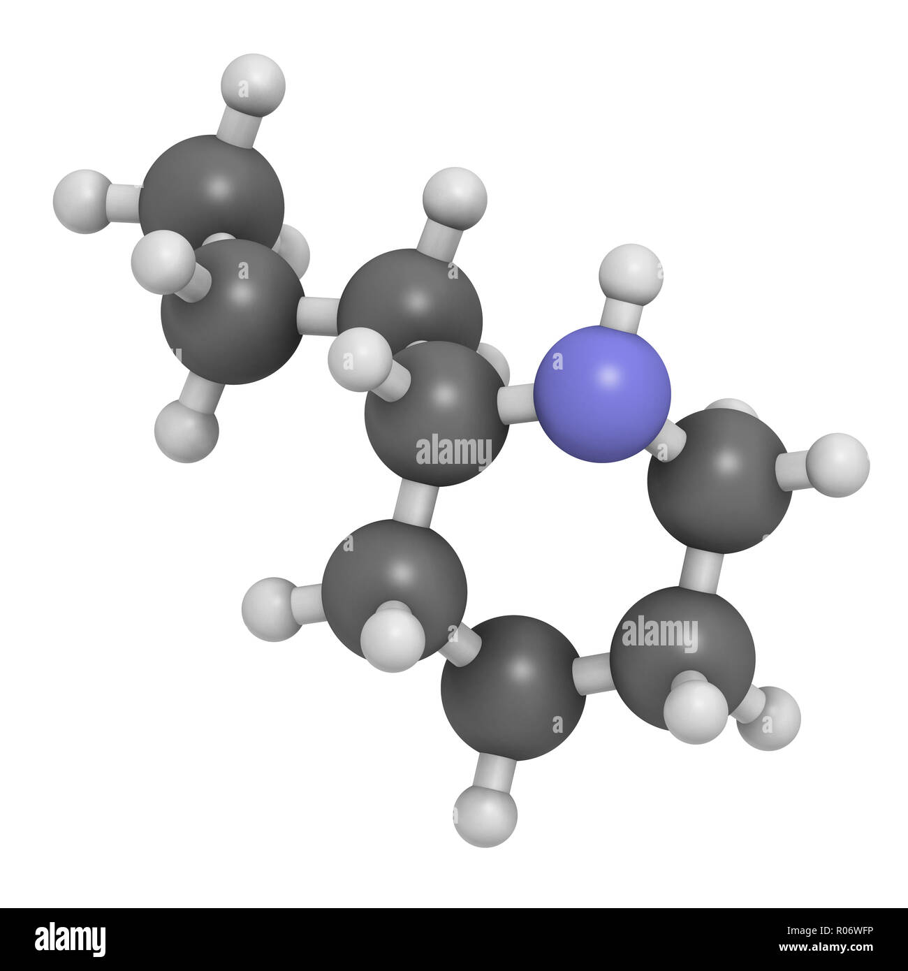 Coniine herbal toxin molecule. Present in poison hemlock (Conium ...