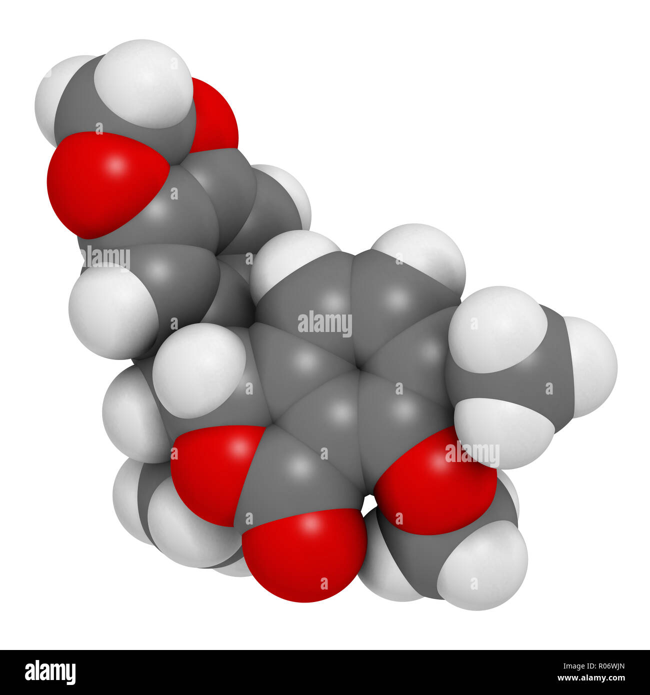 Orangeroot hydrastis canadensis hi-res stock photography and images - Alamy