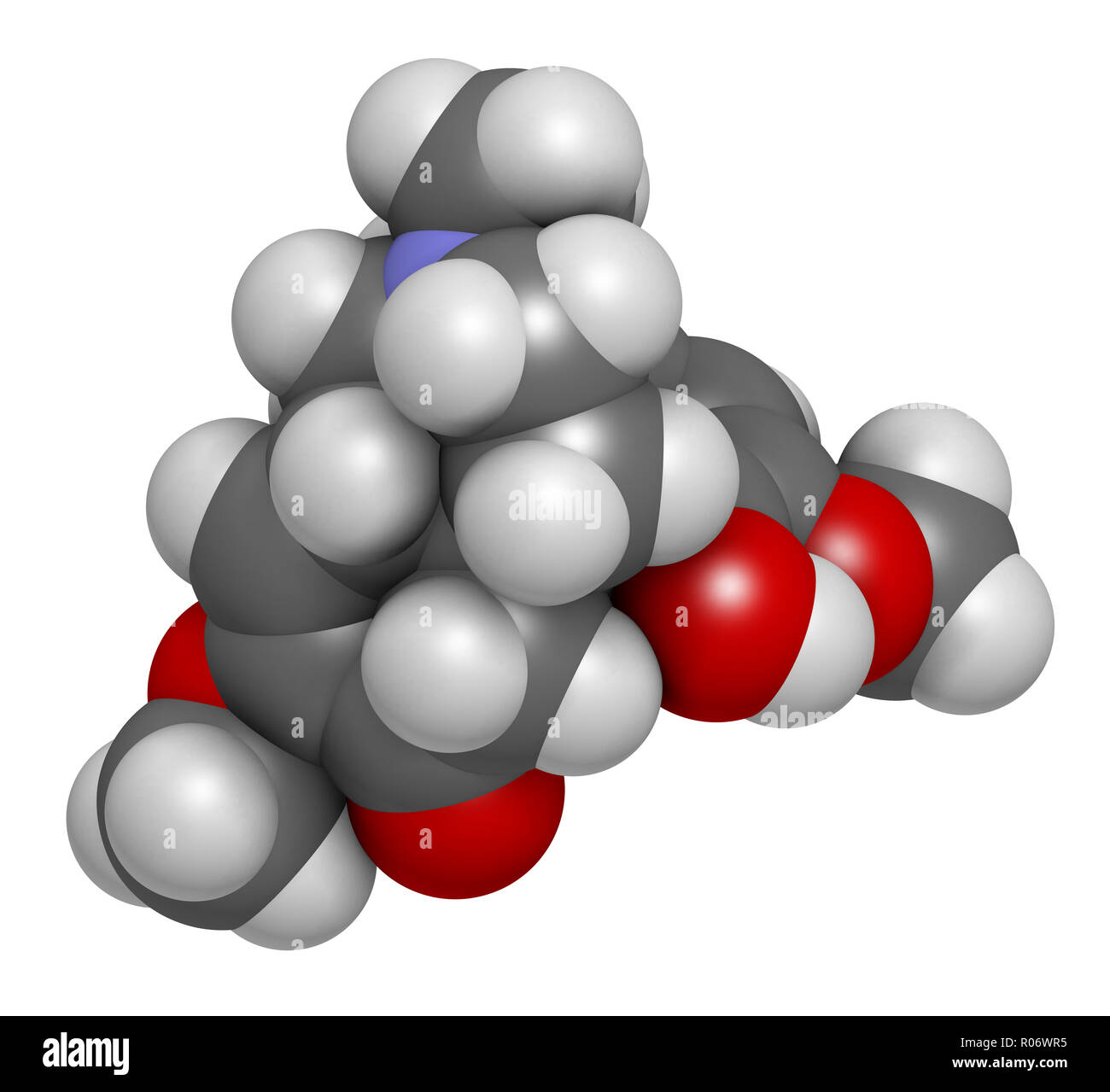 Sinomenine herbal alkaloid molecule. Isolated from Sinomenium acutum ...