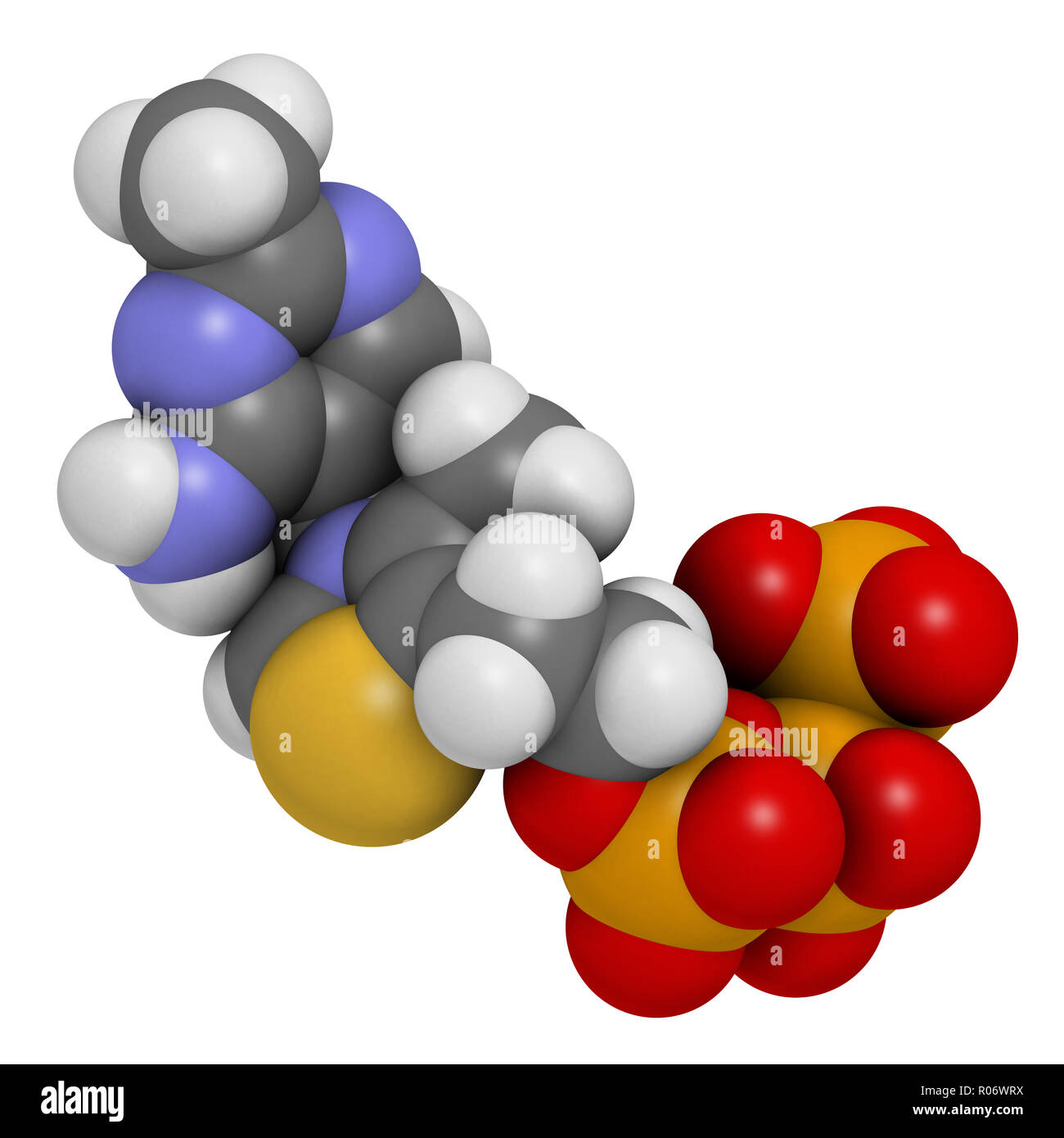 Thiamine triphosphate molecule. 3D rendering. Atoms are represented as ...