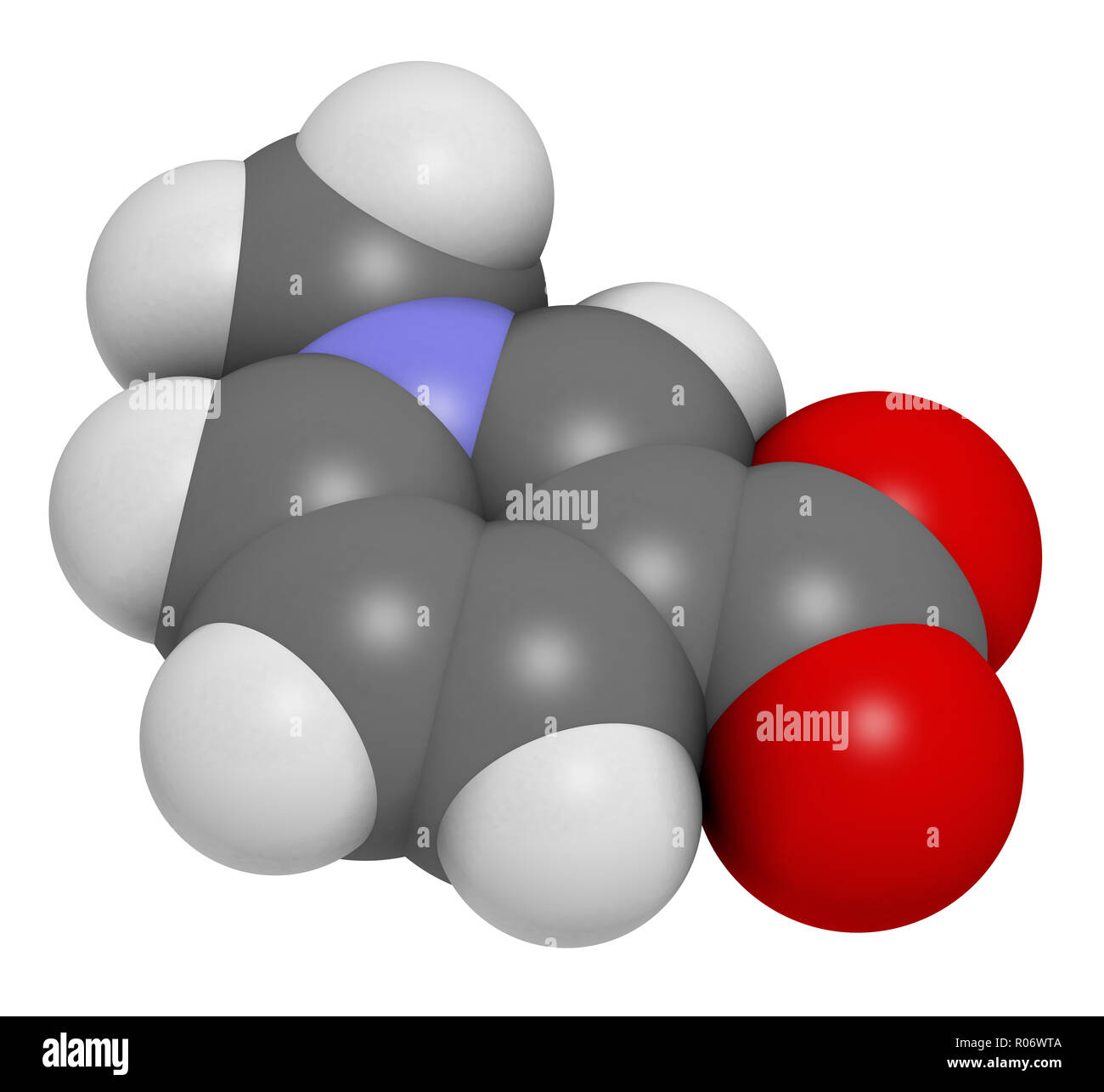Trigonelline hi-res stock photography and images - Alamy