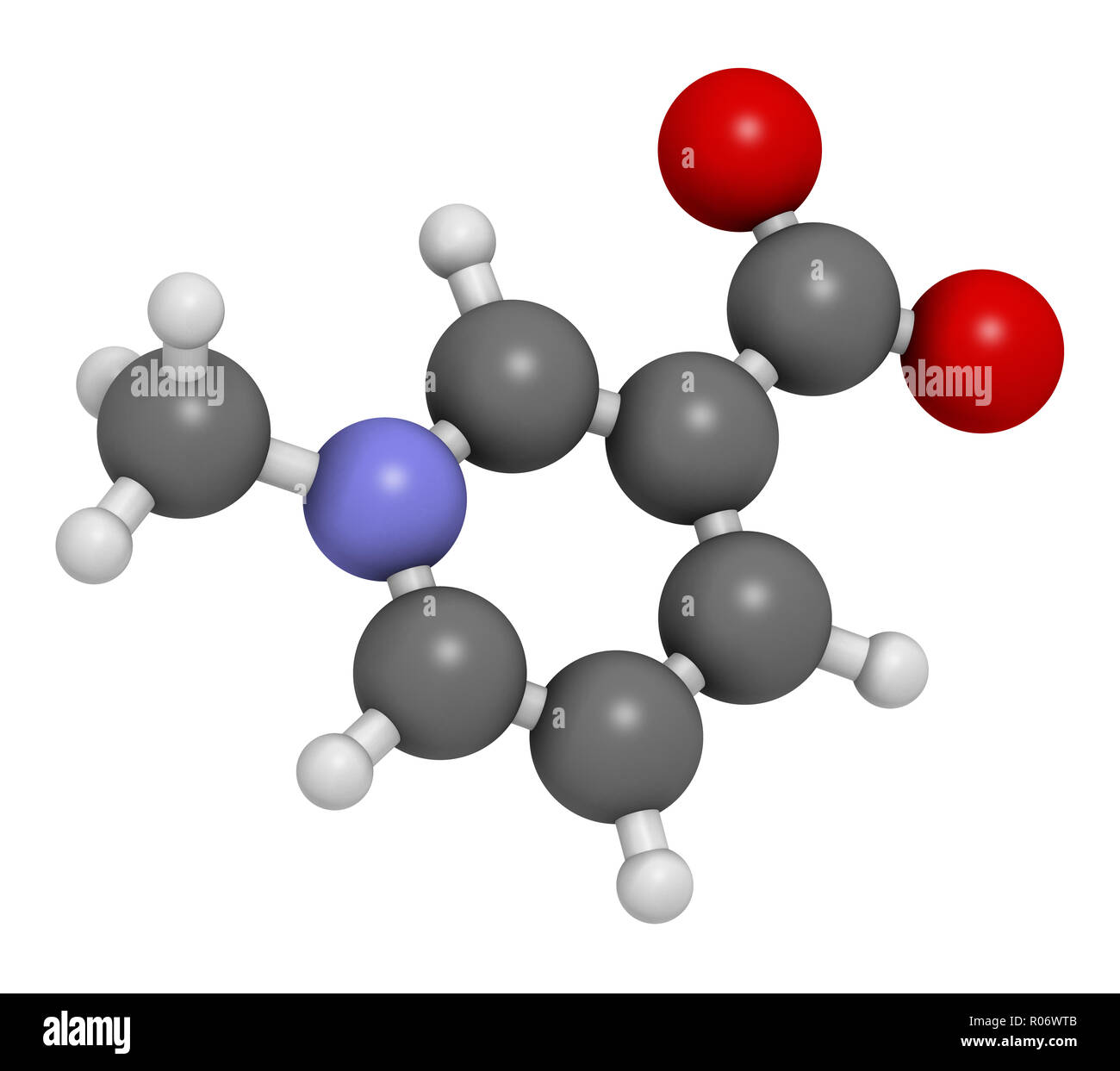 Trigonelline hi-res stock photography and images - Alamy