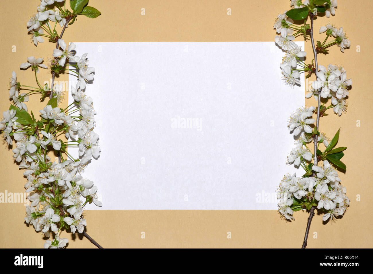A frame of flowers around a white sheet of paper Stock Photo - Alamy